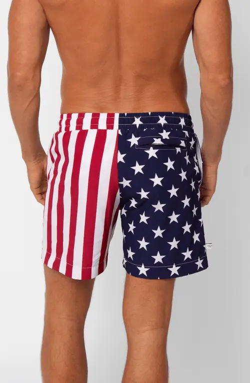 LEISURE LAB Stars And Stripes Swim Trunks