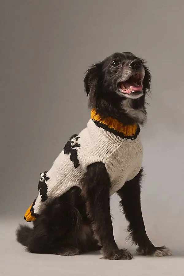 Anthropologie Wool Halloween Pet Sweater - Bat