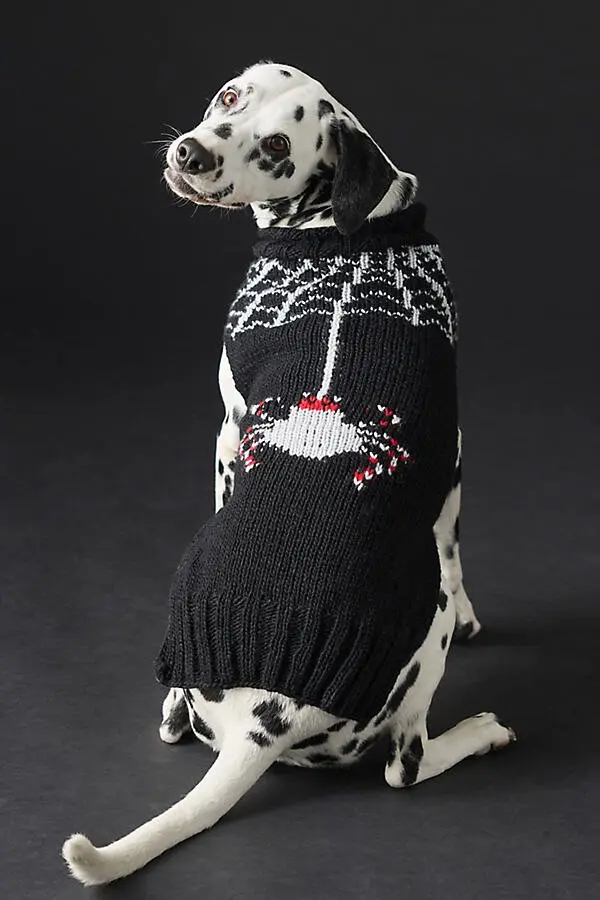 Anthropologie Halloween Pet Sweater