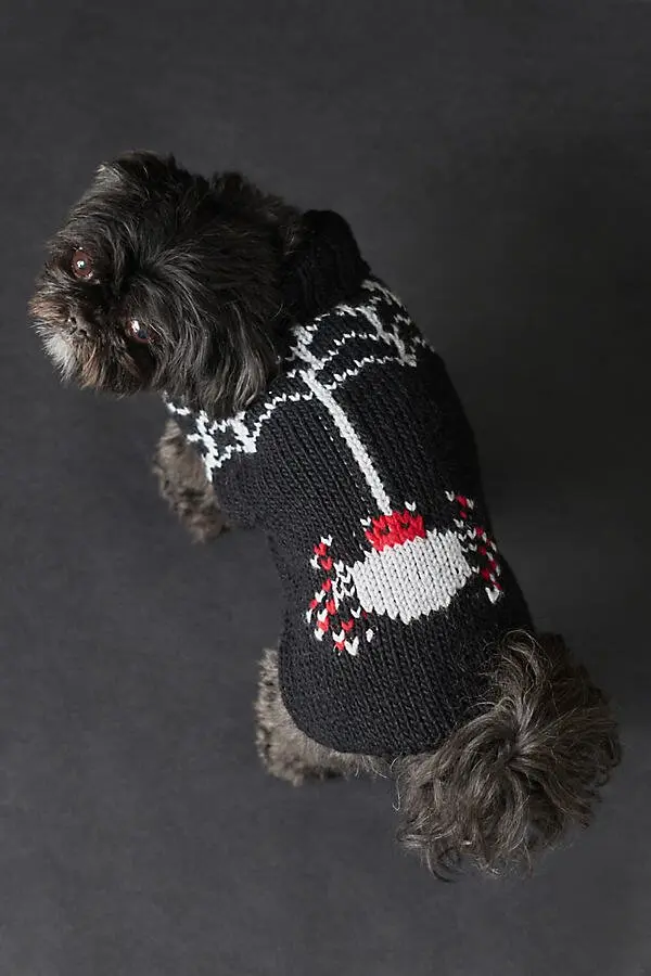 Anthropologie Halloween Pet Sweater