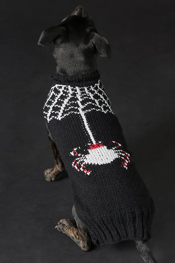Anthropologie Halloween Pet Sweater
