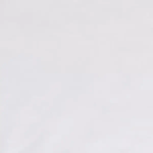 BRINKHAUS King 90% Hungarian Goose Down Summerlight Duvet