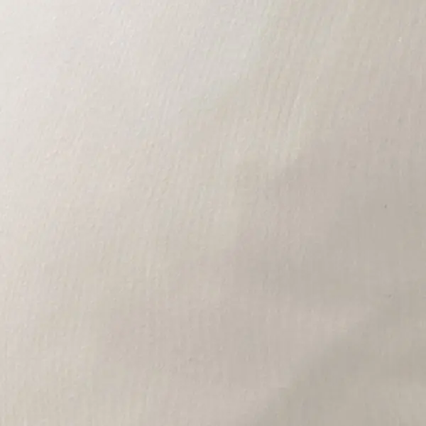 ALEXANDRE TURPAULT Organic Cotton Nobel Oxford Pillowcase