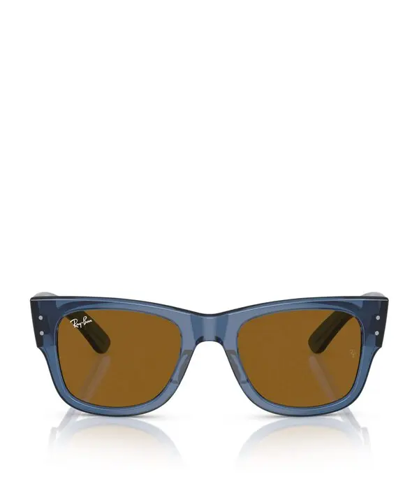 Ray-ban Propionate 0rb0840s Sunglasses