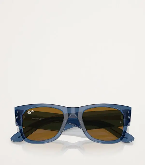 Ray-ban Propionate 0rb0840s Sunglasses