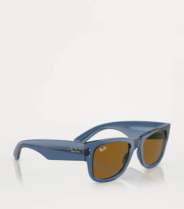 Ray-ban Propionate 0rb0840s Sunglasses