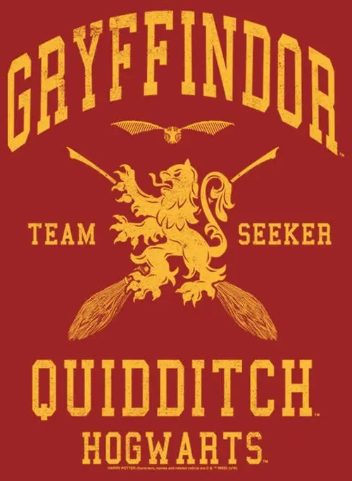 HARRY POTTER Gryffindor Quidditch Seeker Graphic T-shirt
