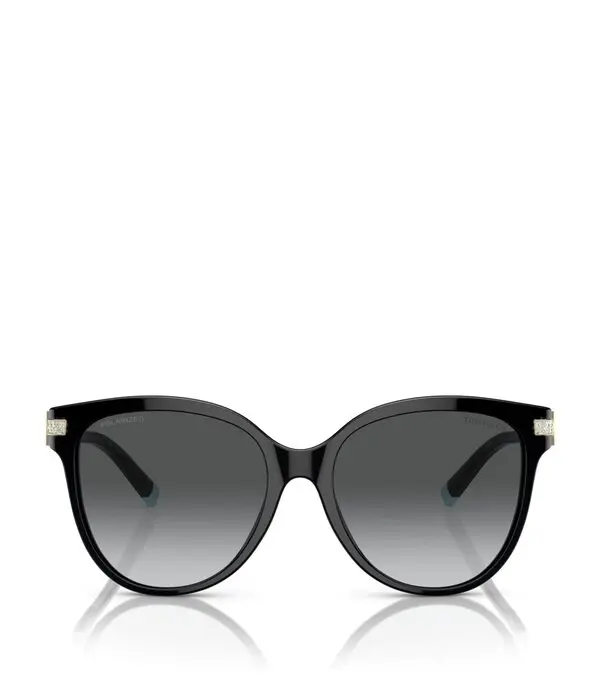 Tiffany & Co. Acetate Oversized Round Sunglasses - Black