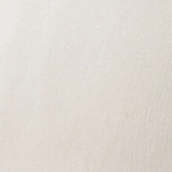 ALEXANDRE TURPAULT Cotton Nobel Square Pillowcase Pair