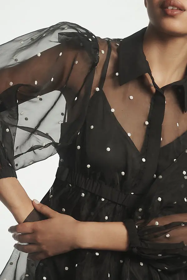 Sheer Collared Babydoll Mini Dress