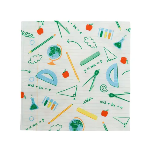 DAYDREAM SOCIETY Smarty Pants Subject Large Napkins - Assorted Pre-pack