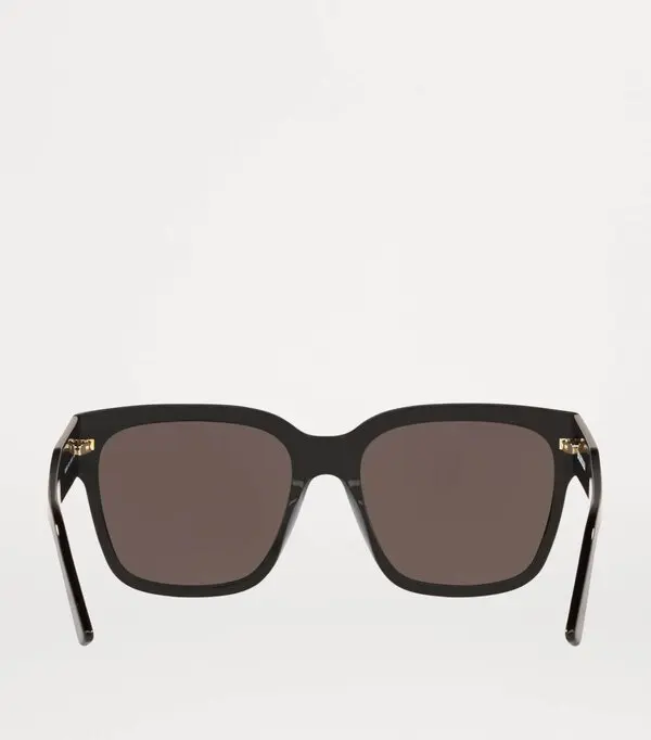 Balenciaga Acetate Sunglasses