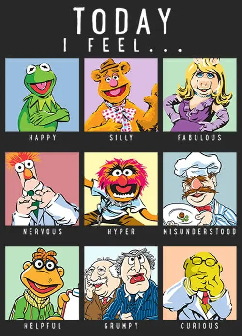 THE MUPPETS Mood Chart Graphic T-shirt