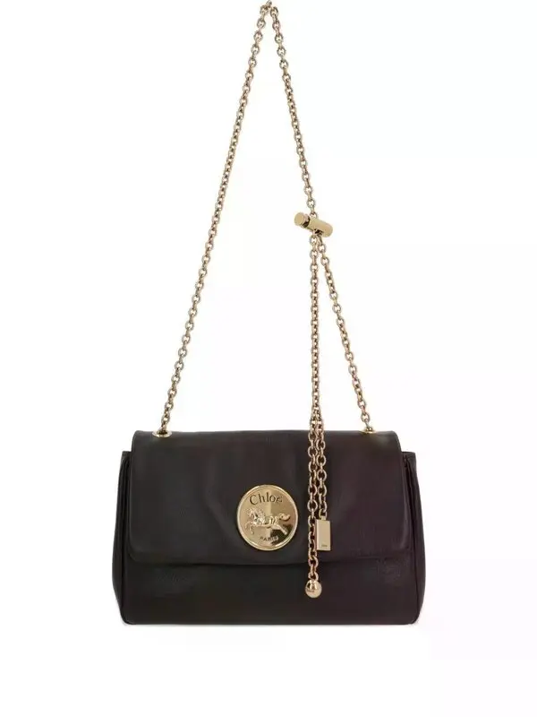Chloé Heritage Chain-strap Shoulder Bag - Brown