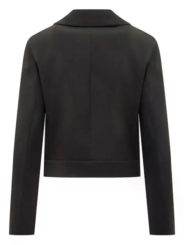 Max Mara Acciaio Blazer - Black
