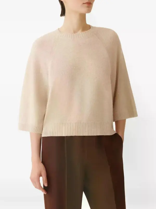 Fabiana Filippi Sequin-embellished Raglan-sleeve Jumper