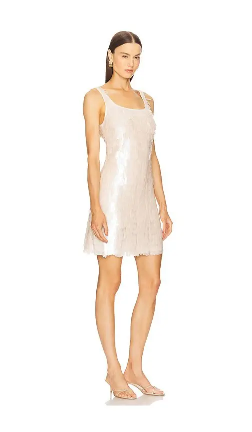 Simkhai Onyx Mini Dress