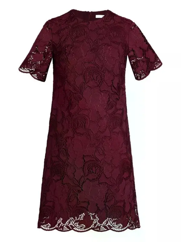 Erdem Floral Lace Mini Dress