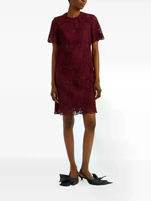 Erdem Floral Lace Mini Dress