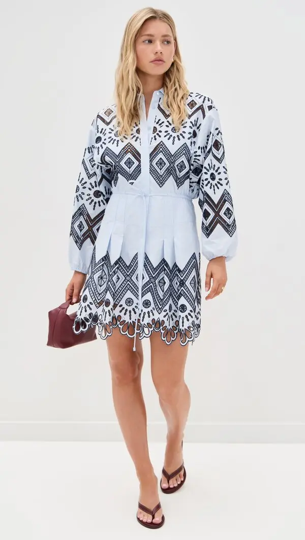 Alexis Atarra Embroidered Eyelet Mini Dress
