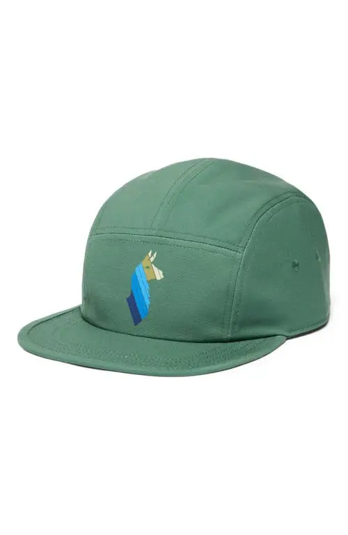 COTOPAXI Llama Stripes 5-panel Cap - Vine
