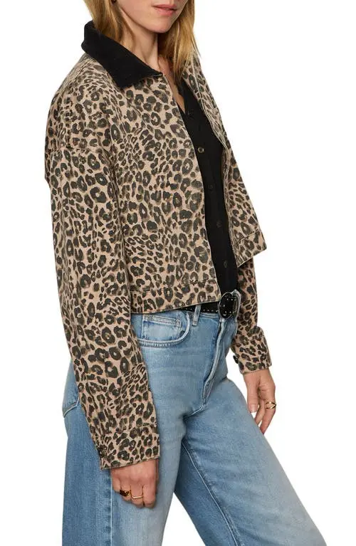 Sanctuary Leopard Print Barn Jacket