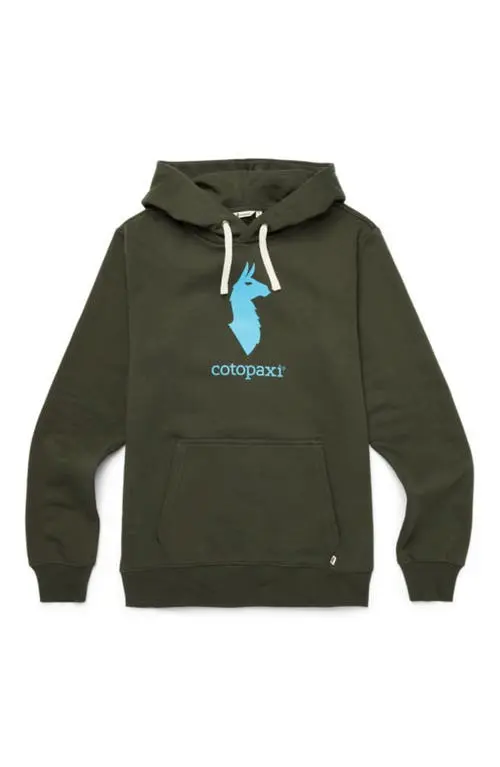 COTOPAXI Llama Pullover Hoodie - Woods
