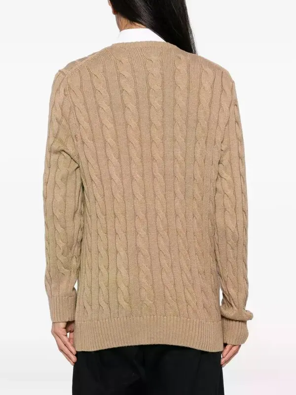 Polo Ralph Lauren Cotton Cable-knit Jumper