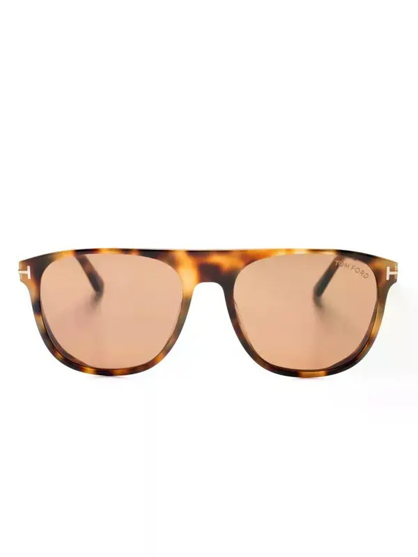 TOM FORD Lionel Wayfarer-frame Sunglasses - Brown