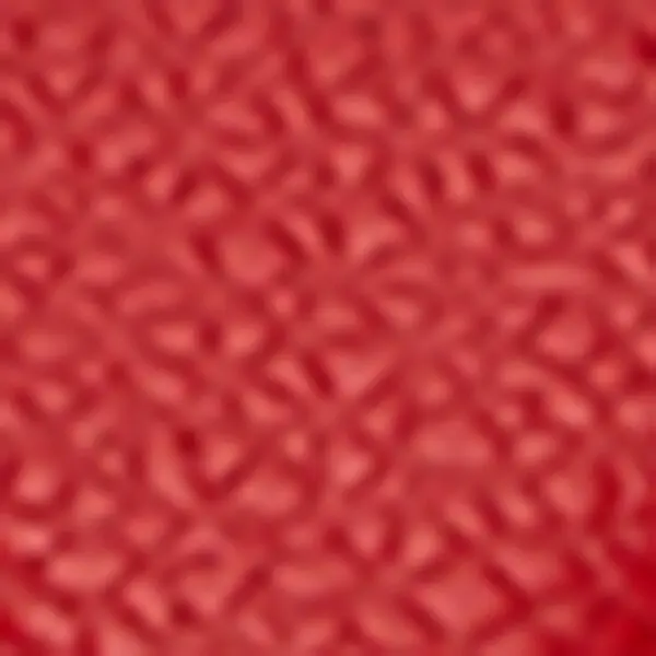 Assouline Leather Archival Magnifying Glass - Red