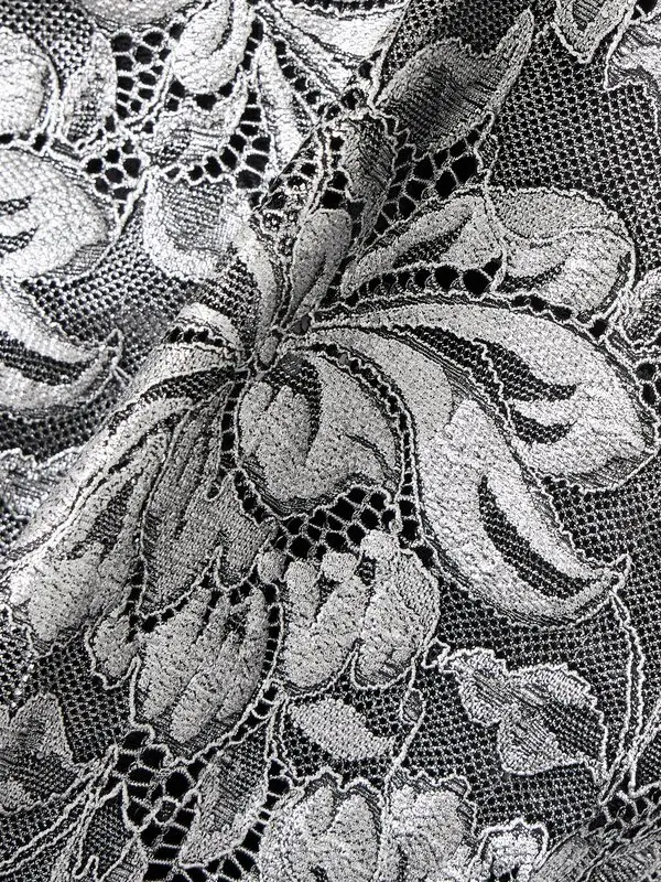 Rabanne Cropped Scalloped Stretch-lace Top - Silver