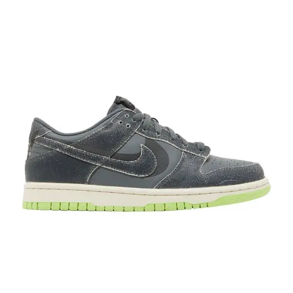 Nike Dunk Low Se Gs Sneakers