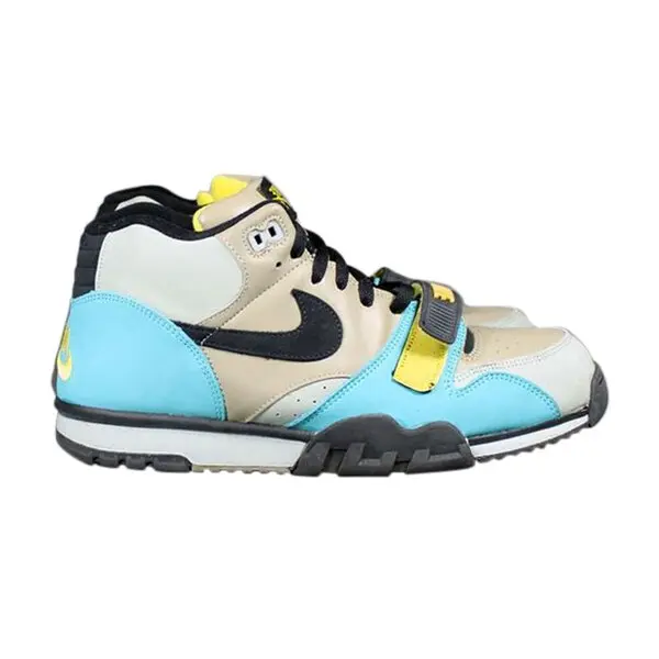 Nike Air Trainer 1 Sb Sneakers