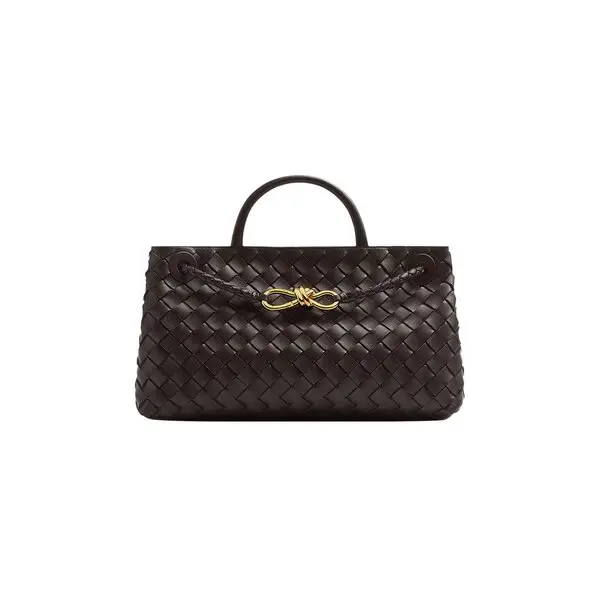 Bottega Veneta East-west Andiamo Bag