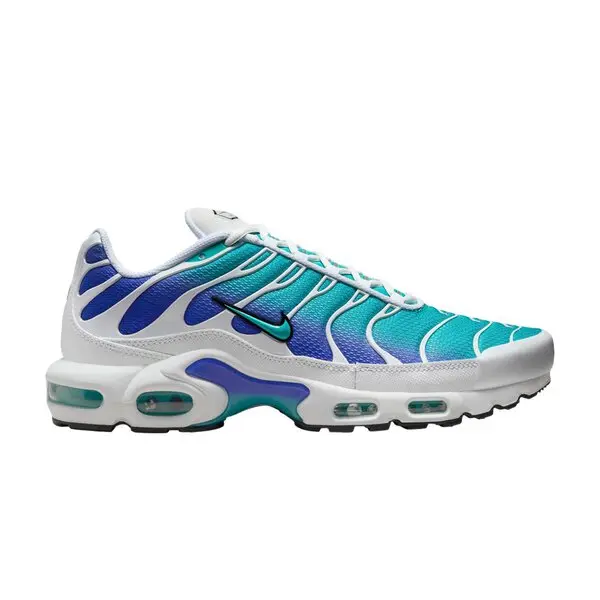 Nike Air Max Plus Sneakers
