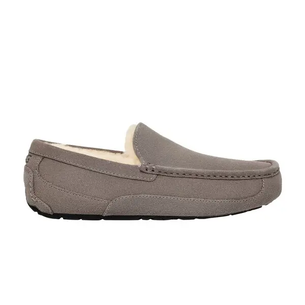 UGG Ascot Slipper - Grey