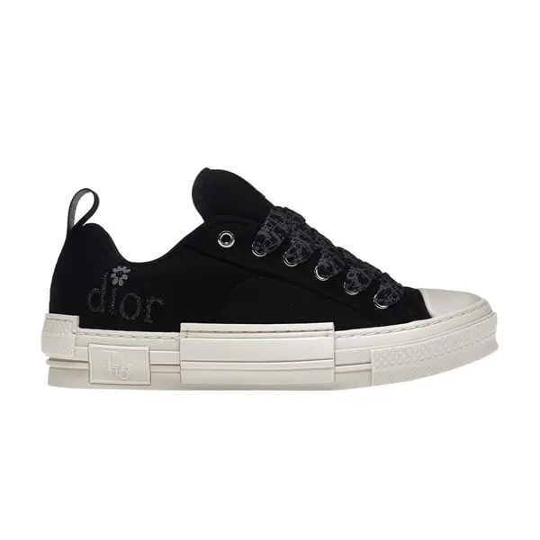 Dior Erl X B23 Skater Sneakers