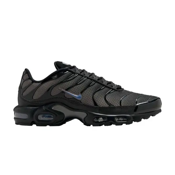 Nike Air Max Plus Sneakers - Black
