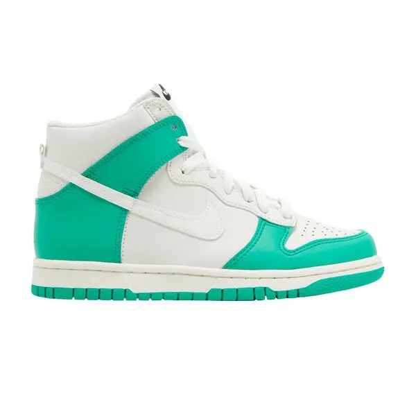 Nike Dunk High Gs Sneakers