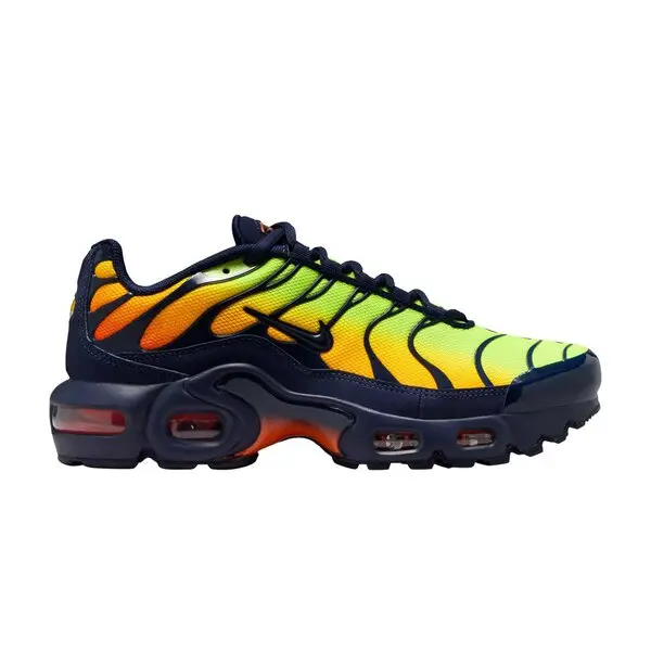 Nike Air Max Plus Gs Sneakers
