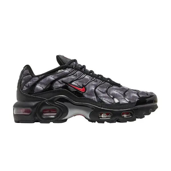 Nike Air Max Plus Gs