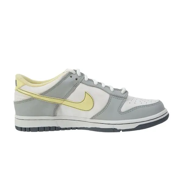 Nike Dunk Low Sneakers