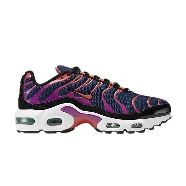 Nike Air Max Plus Gs