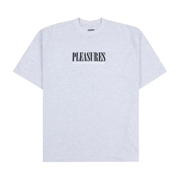 PLEASURES Satisfaction T-shirt - Grey