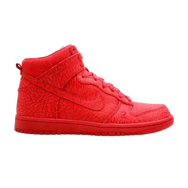Nike Dunk High Premium