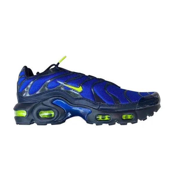 Nike Air Max Plus Gs Sneakers