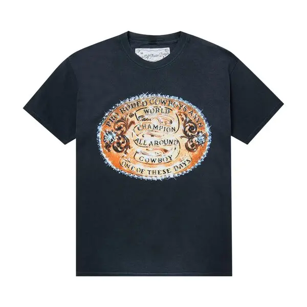ONE OF THESE DAYS World Champions T-shirt 'washed Navy