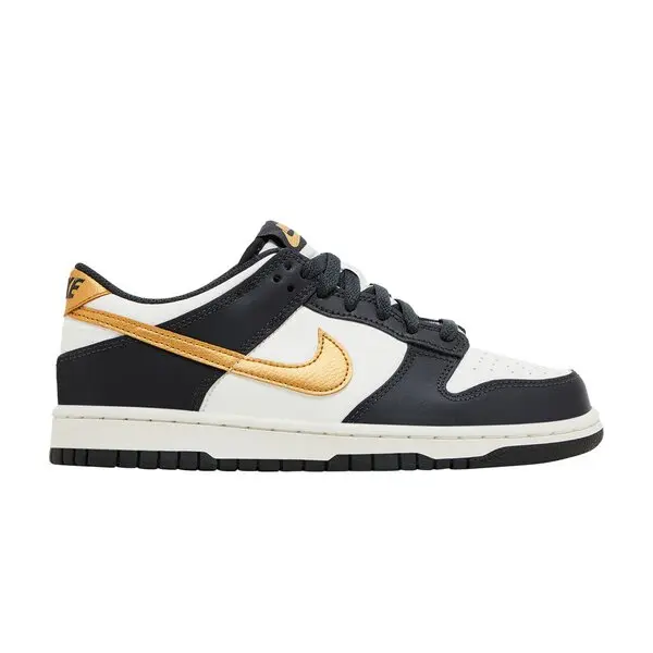 Nike Dunk Low Gs Sneakers