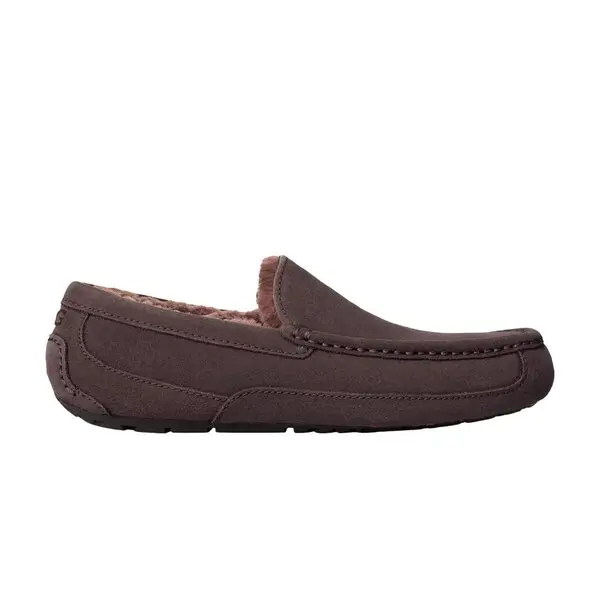 UGG Ascot Slipper - Brown
