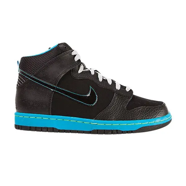 Nike Dunk High Top Sneakers
